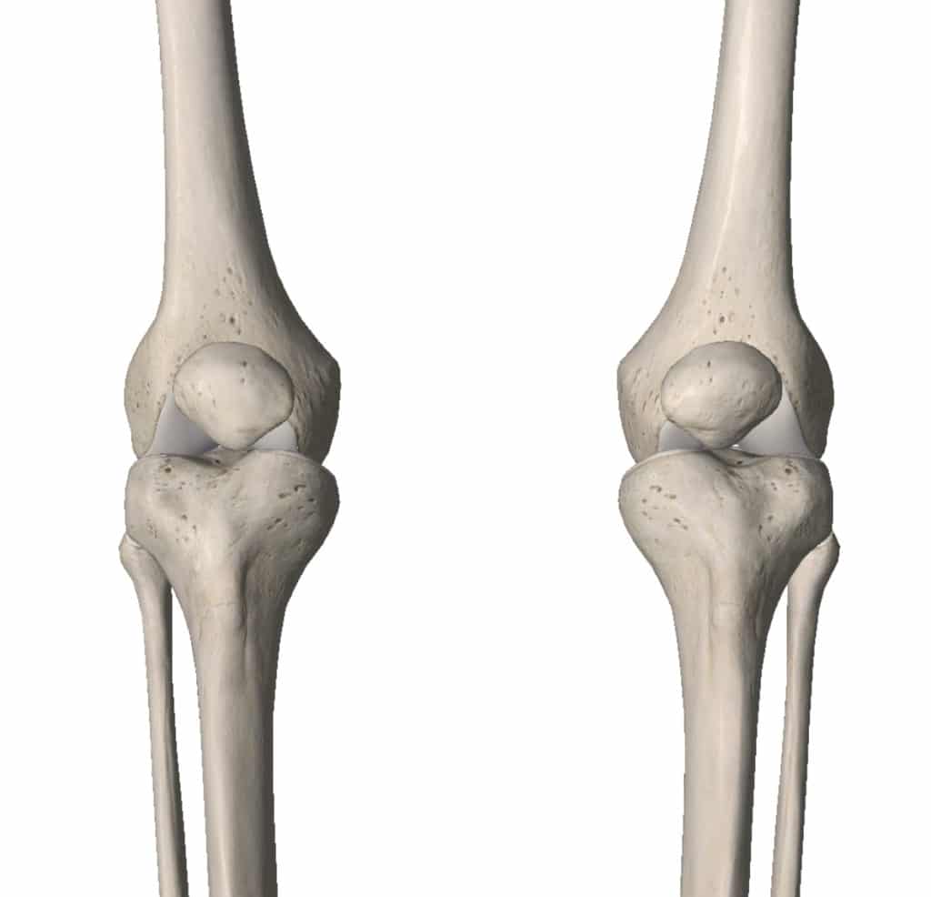Meniscus Injury - Chiromovement | Muscle and Joint Clinic